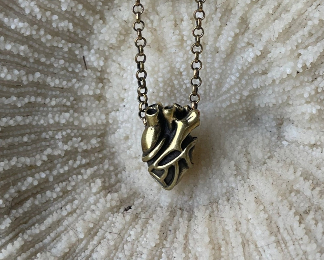 small anatomical heart – JAN HILMER